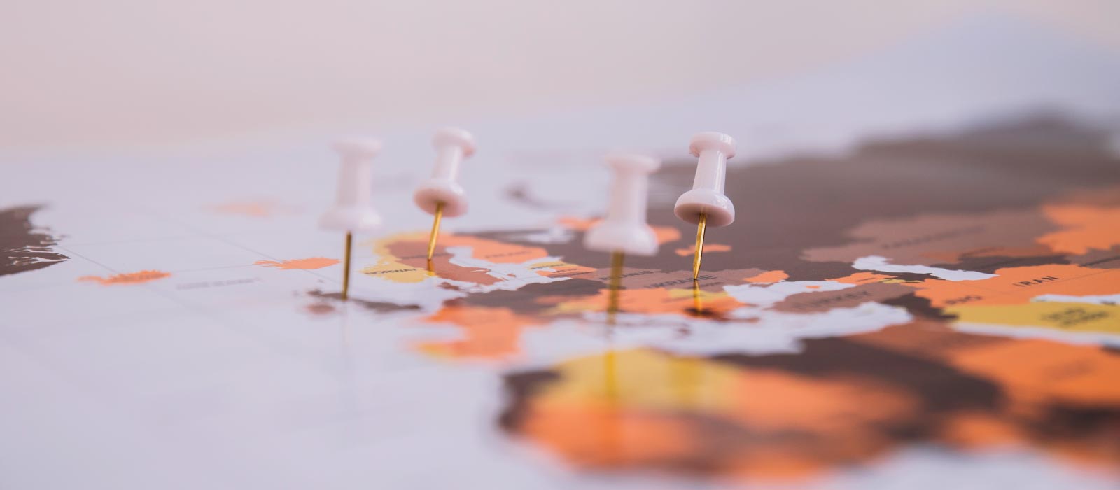 Branch – Estate Corner